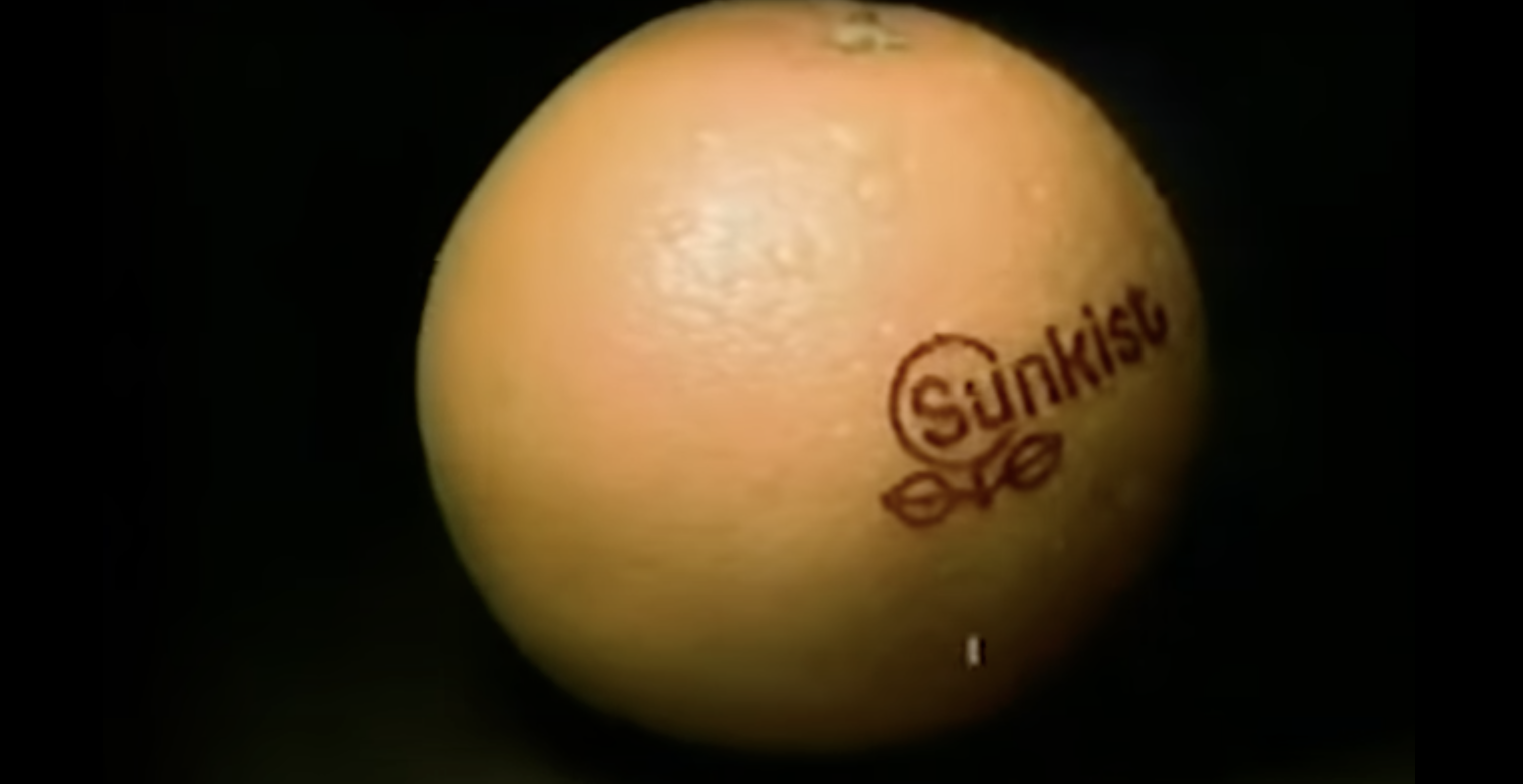 Sunkist Oranges Ad - National Food Museum