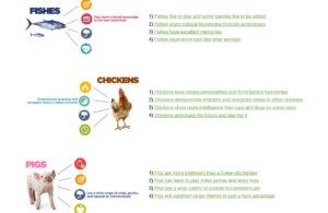 Faunalytics, using colorful infographics and graphs, describes the ...