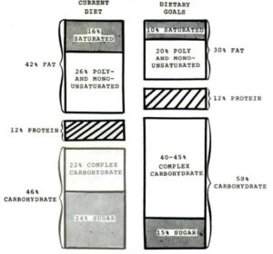 Dietary Advice in Graphics Over the Century - National Food Museum